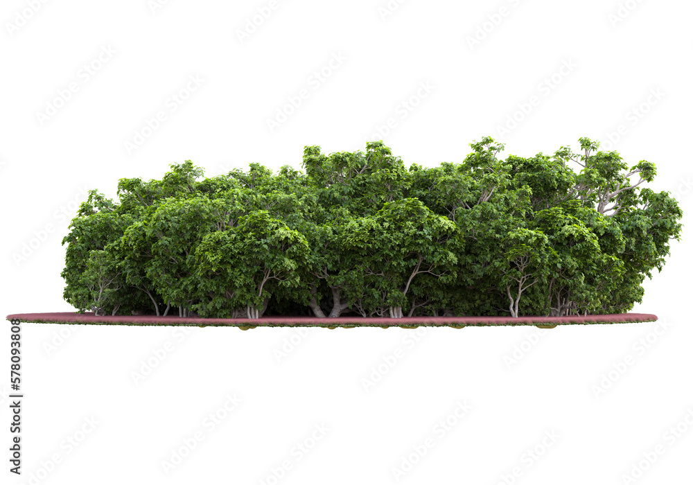 Realistic forest island on transparent background. 3d rendering ...