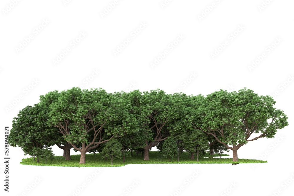Realistic forest island on transparent background. 3d rendering ...
