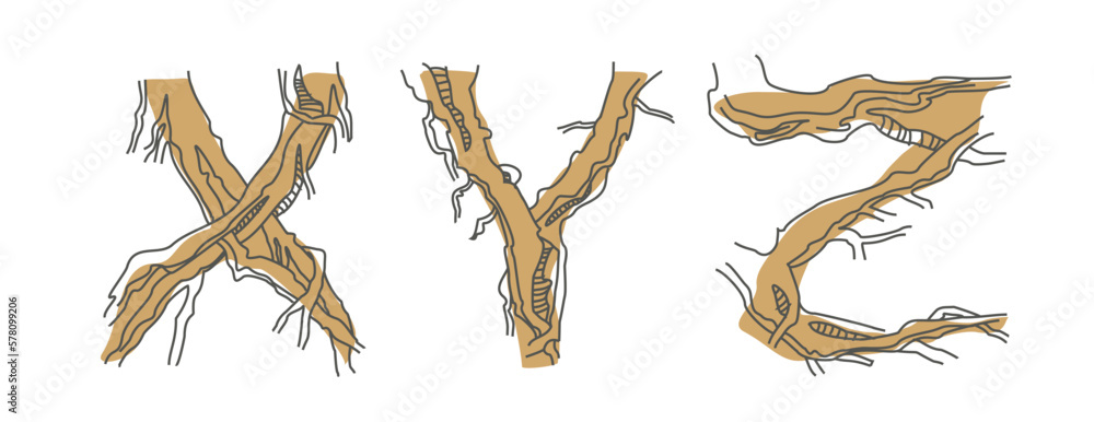 Set initial letters X, Y, Z. Decorative font from tree roots ...