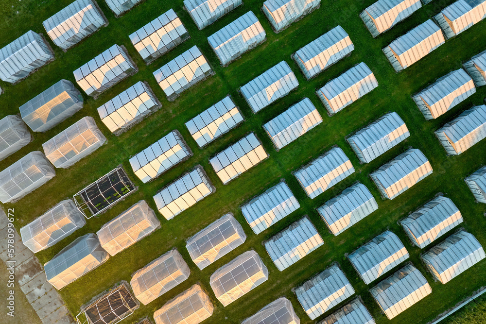 Botanical Research Station: Vertical, view of diagonal Rows of small ...
