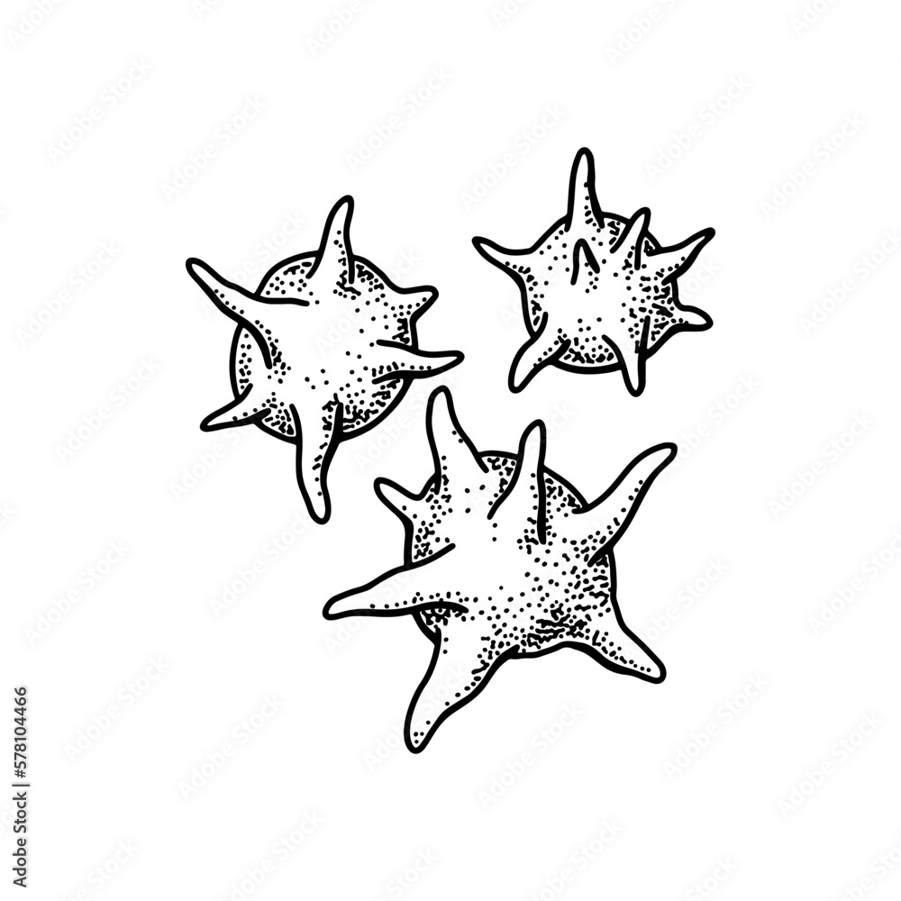 Platelet blood cells isolated on white background. Hand drawn ...