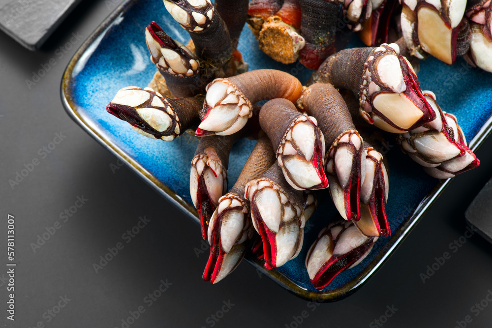 Barnacles, goose neck barnacle, percebes, gallician barnacles ...