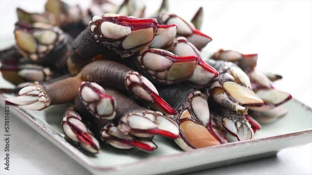 Barnacles, goose neck barnacle, percebes, gallician barnacles ...