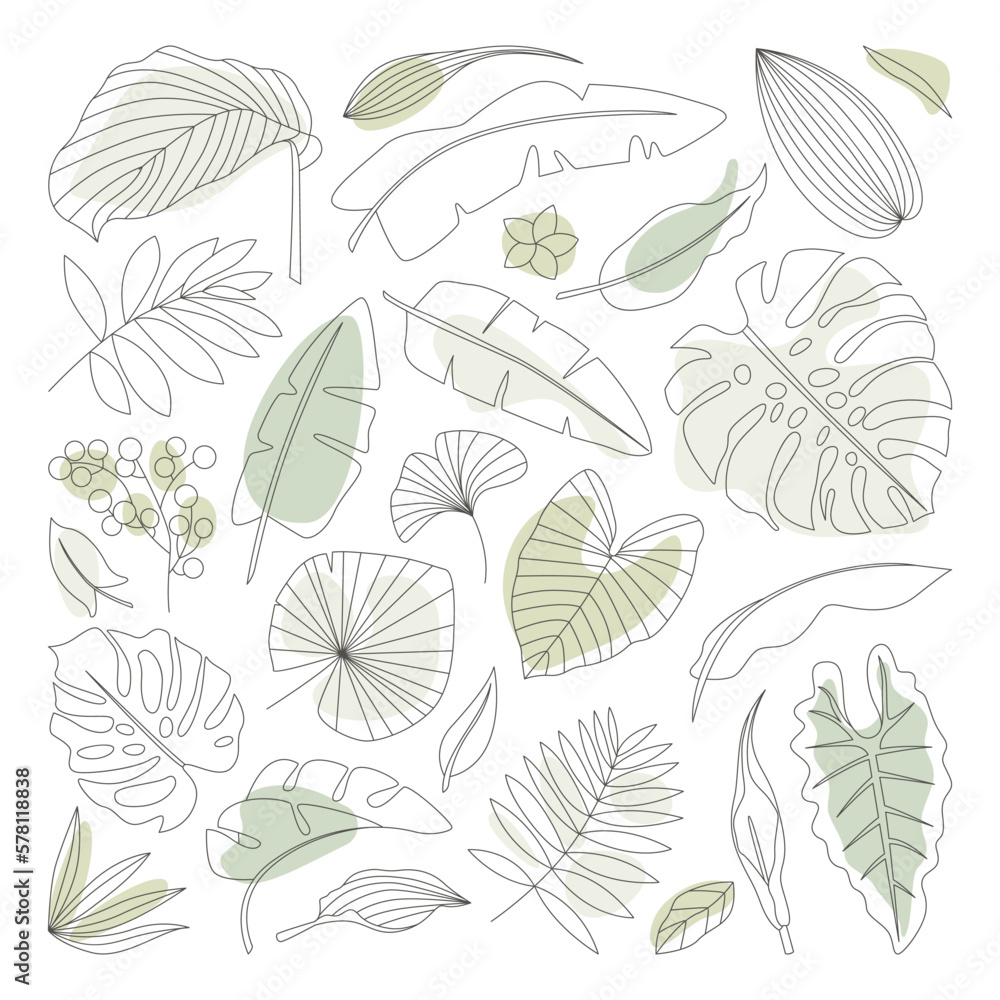 Tropical plant line art set. Doodle sketch art of monstera and ...