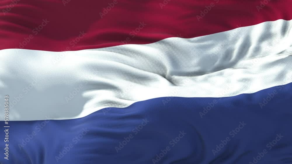 Dutch Flag Seamless Smooth Waving Animation. Wonderful Flag of the ...
