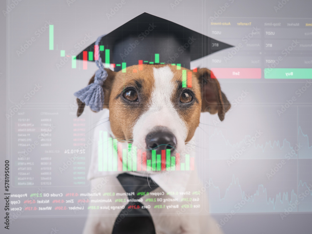 Poster A dog in an academic cap and tie looks at the HUD menu – Wall ...
