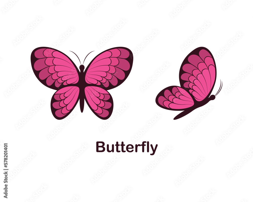 Butterfly. Butterfly image, top view and side view. Cute cartoon ...