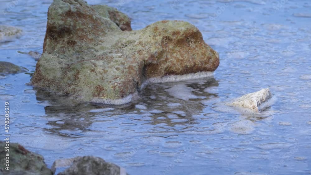 Calcic skeleton of reef polyps. Dead coral stones on water surface ...