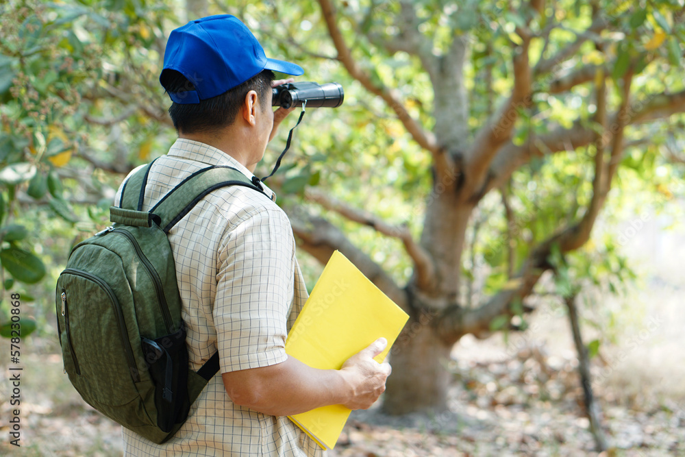 Asian man explorer wears blue cap, holds binocular in forest to survey ...