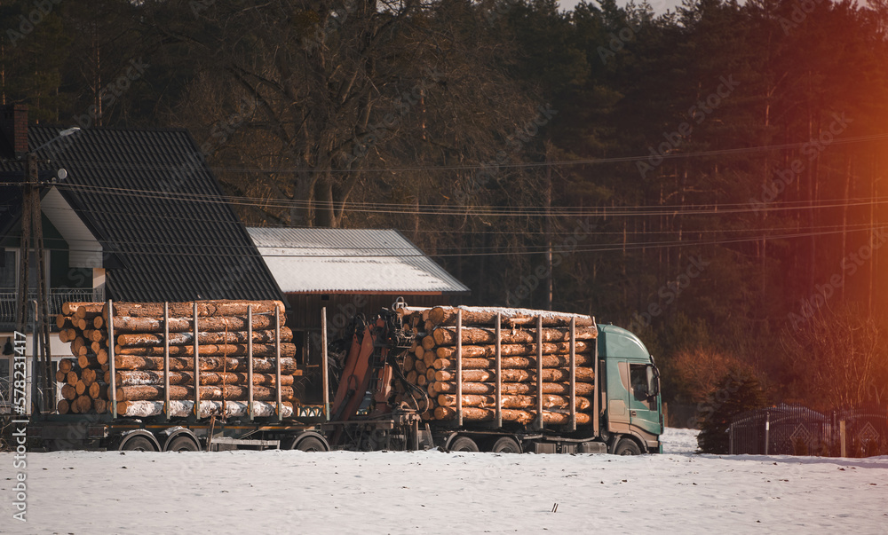 large truck with logs on the road. back view of industrial wood carrier ...