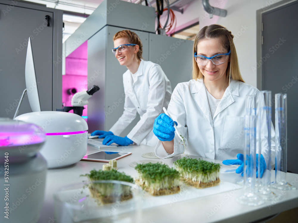 Smiling women wearing lab coat working in laboratory Stock Photo ...