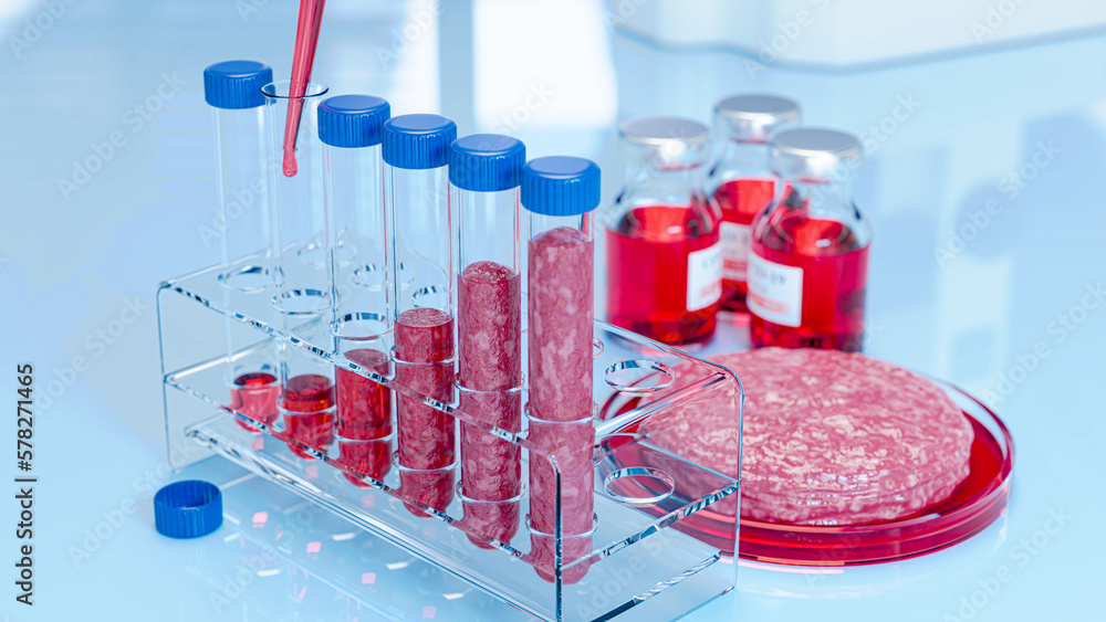 Beef grown in a laboratory in test tubes. The concept of in-vitro meat ...