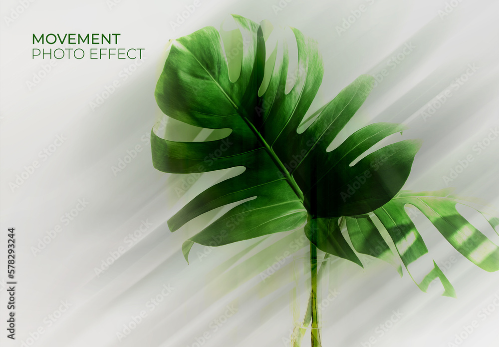 Movement Photo Effect Stock Template | Adobe Stock