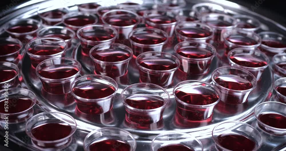 Closeup of young woman taking communion the wine symbol of Jesus Christ ...