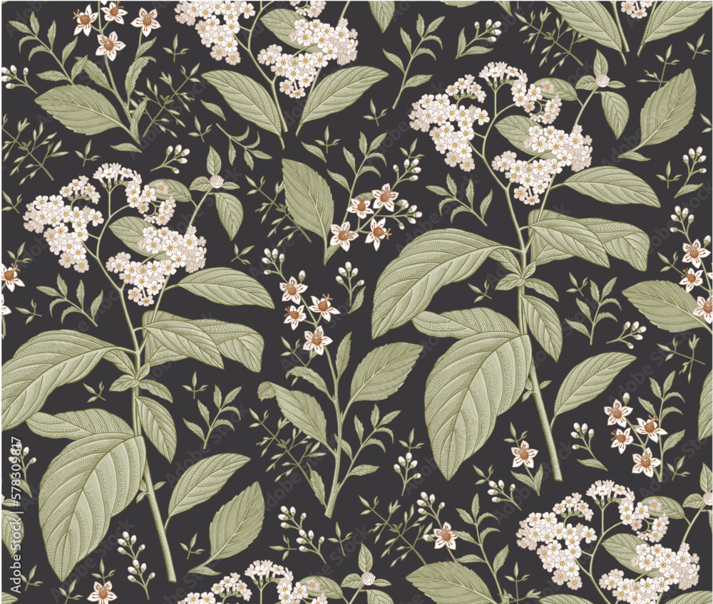 Seamless pattern. Heliotrope garden wildflowers. Beautiful blooming ...