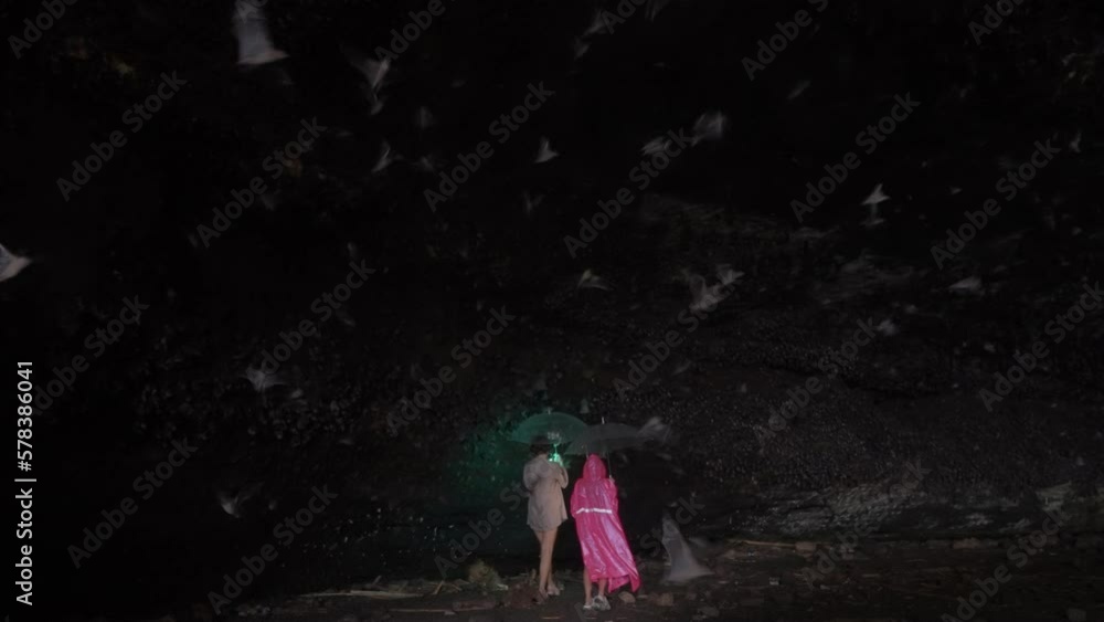 Two female persons exploring a dark bat cave. Anime style footage of ...