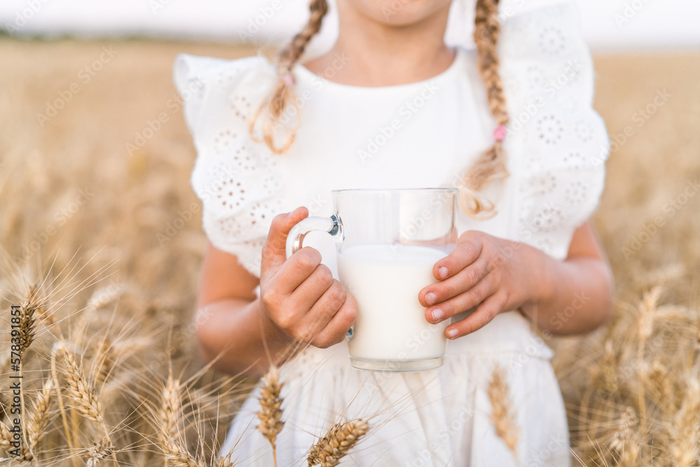 little blonde girl with pigtails in a rye field with a mug of milk, the ...