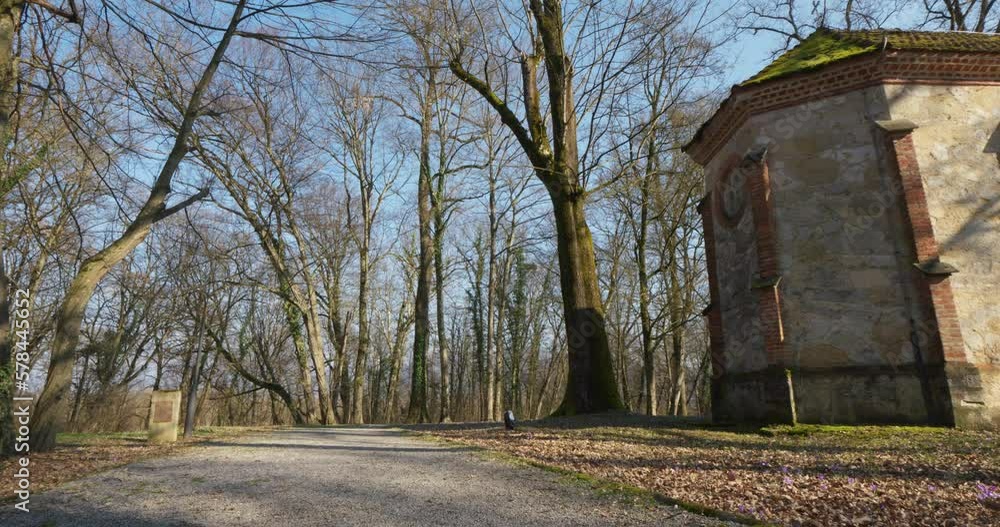 Panning footage of a lovely chapel of St. Joseph in the Neo-Gothic ...