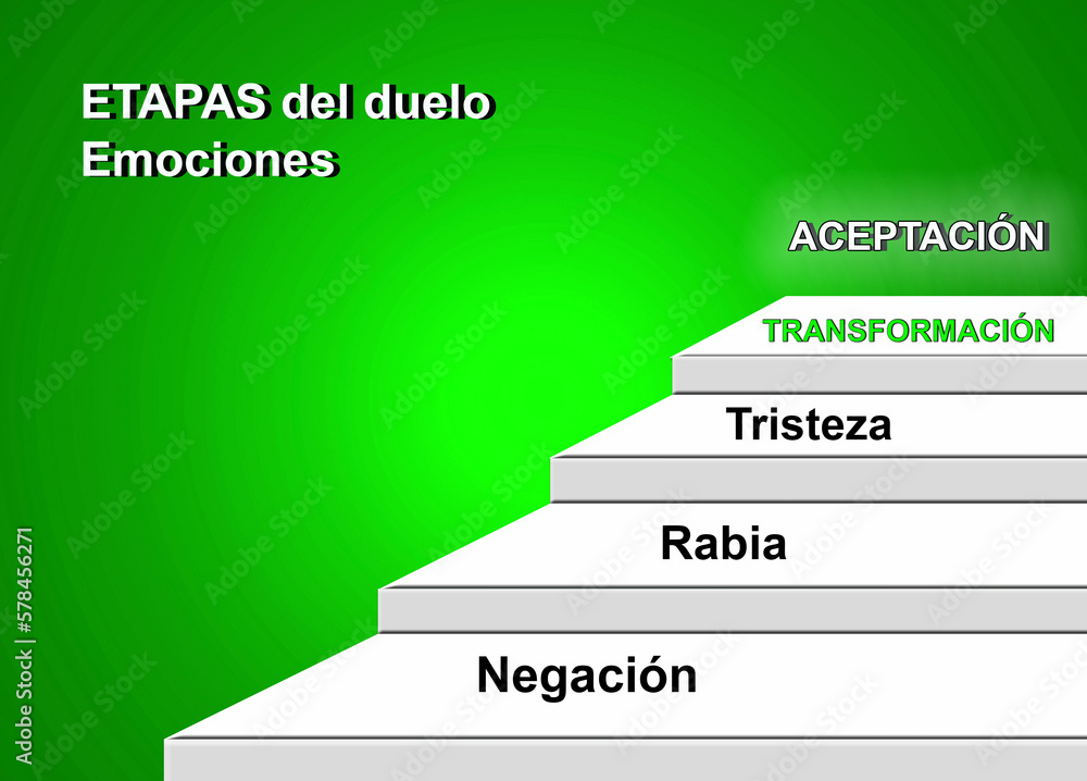 Etapas del duelo. Emociones. Infografía Stock Illustration | Adobe Stock