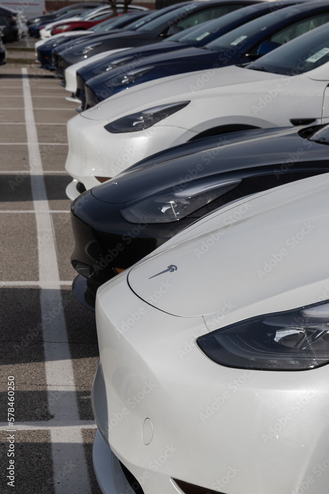 Tesla EV electric vehicles on display. Tesla products include electric ...