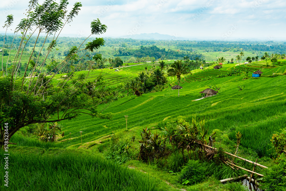 horizontal photo of green terraces of rice fields and clouds in the sky ...
