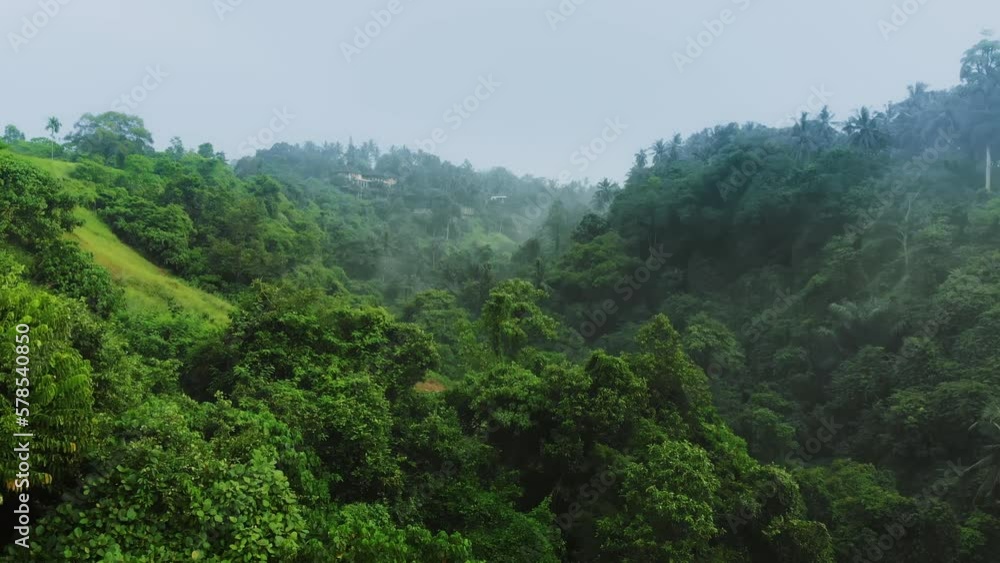 Cinematic drone shot of an exotic tropical rainforest valley. Camera ...