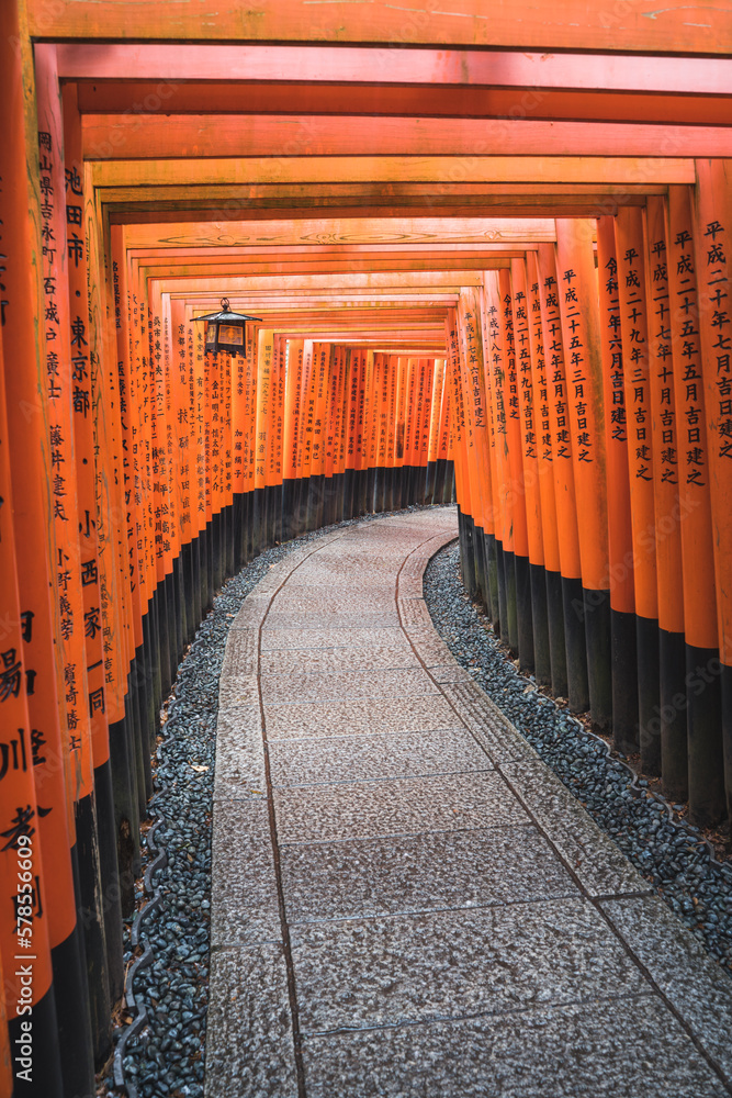 Beautiful Path filled with Red Japanese Tori Gates for a Zen Feel in a ...