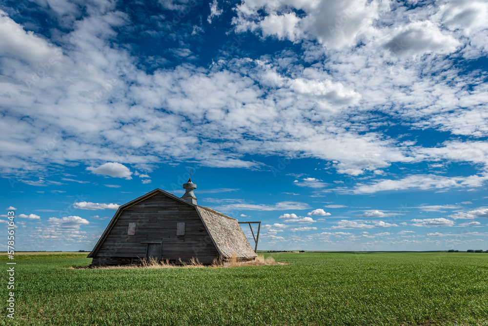 Canadian Prairies Wheat Fields