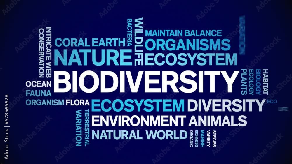 Biodiversity animated tag word cloud;text design animation kinetic ...