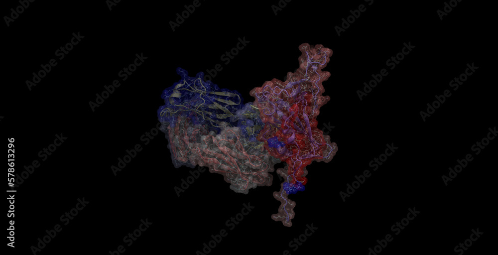 SARS-CoV-2 Spike glycoprotein (red) atacked by Fab antibody, 3D protein ...