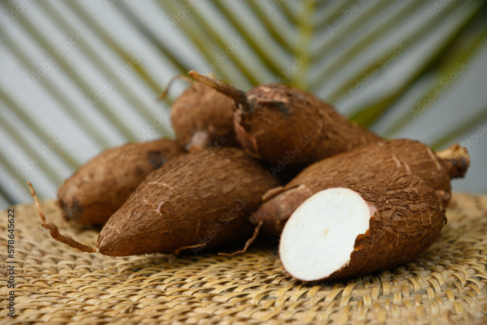 Organic raw Cassava or manioc tuber on wicker tray and palm leaves ...
