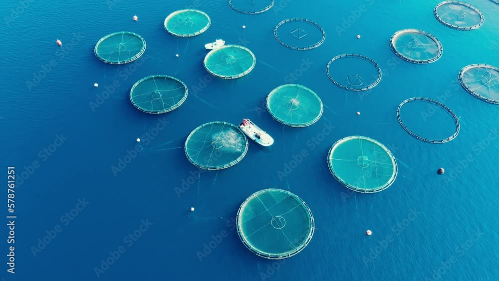 Fish farm floating net pools aerial view sea water surface coast ...