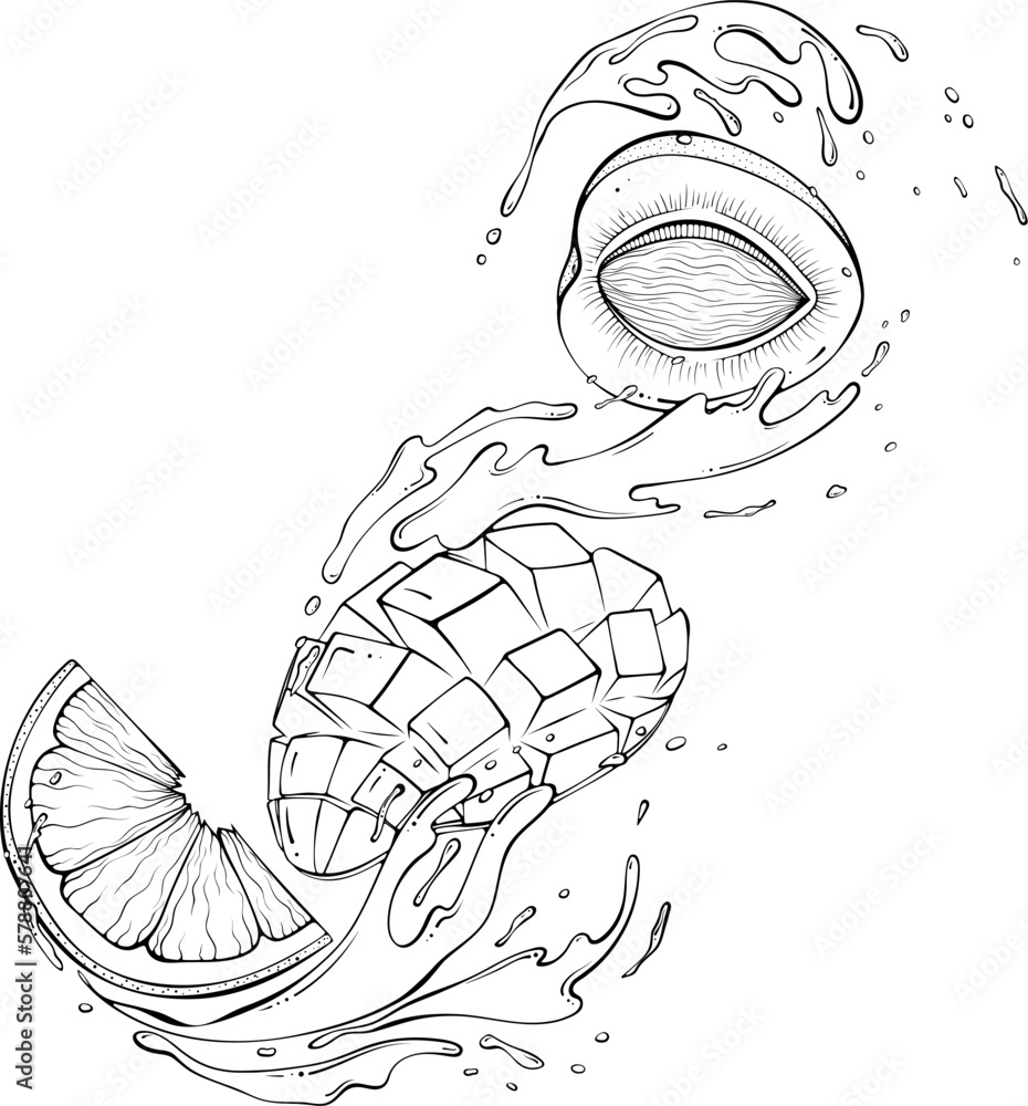 Flying various fruits with juice or water splash. Liquid drops. Vector ...