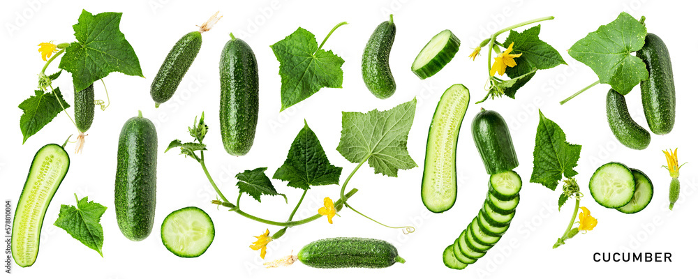 Fresh garden cucumber with leaves and flowers set. PNG isolated with ...