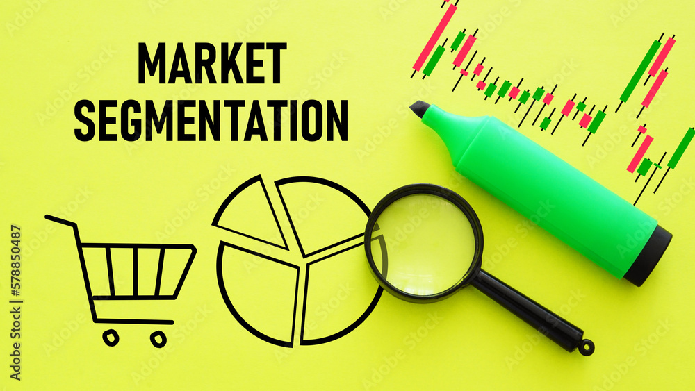 Market Segmentation is shown using the text and picturre of pie chart ...