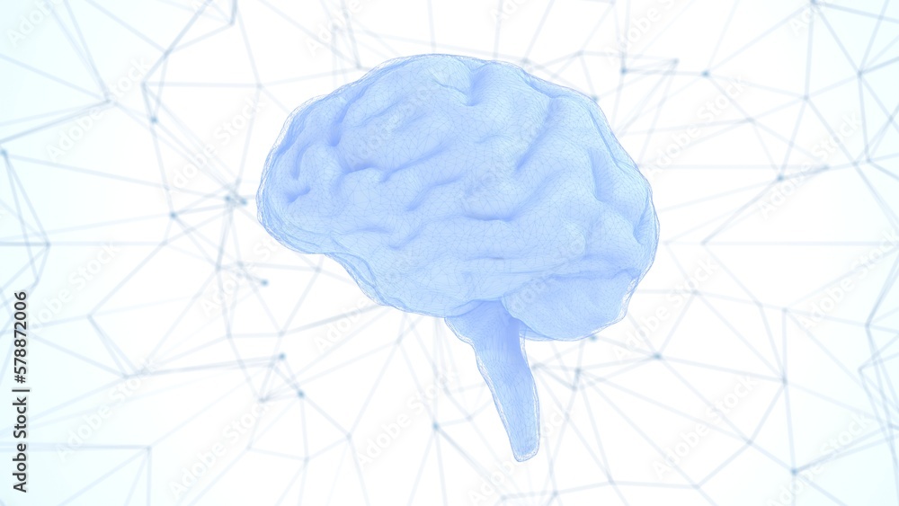 human brain virtual reality rotation 3d representation, nervous system ...