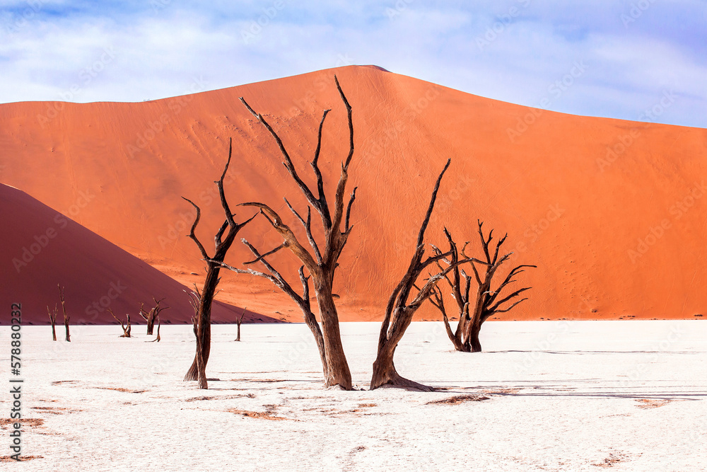 Namibia, Sossusvlei Pan and Ghost Trees Stock Photo | Adobe Stock