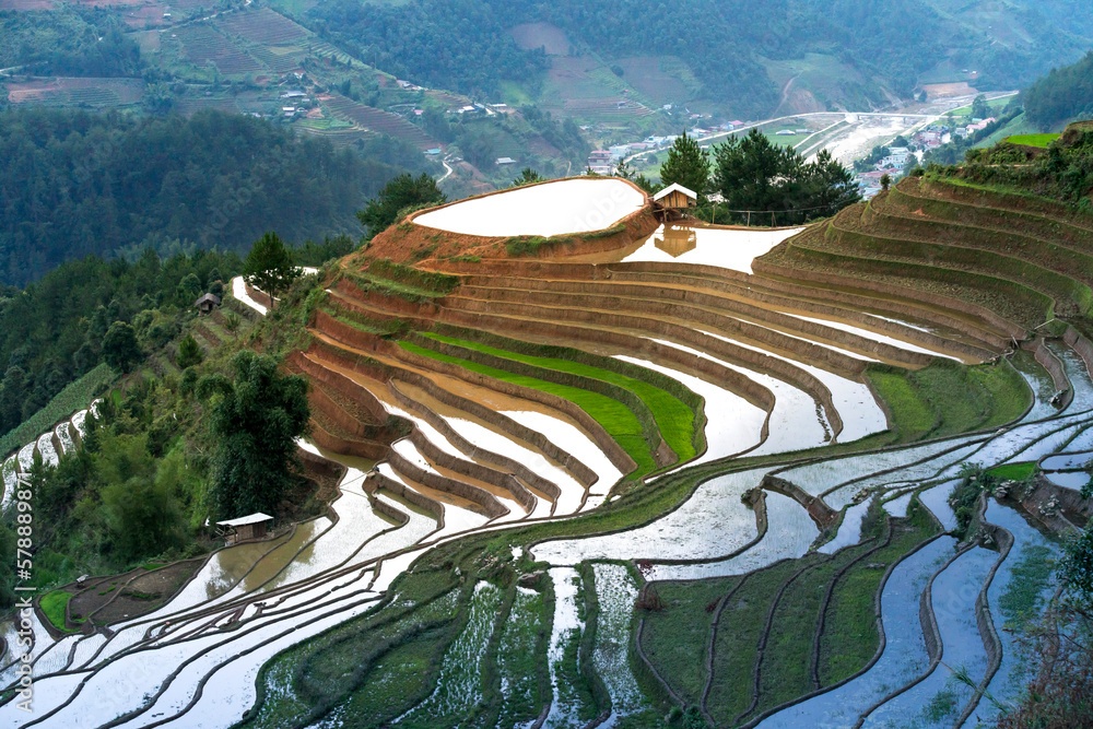 The curved lines of terraced rice field during the watering season at ...