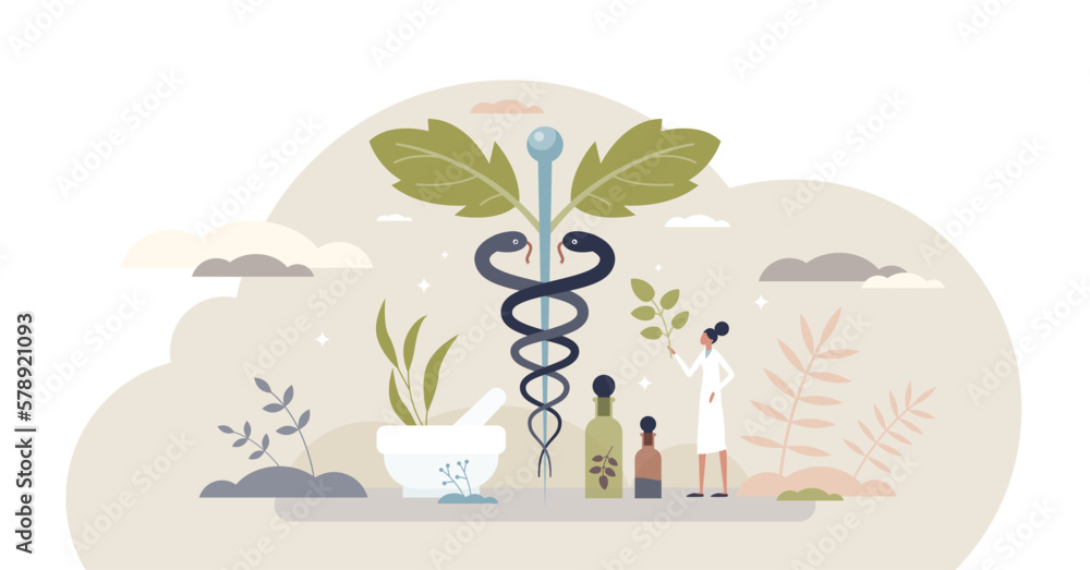 Phytotherapy or herbalism as plants usage for medication tiny person ...