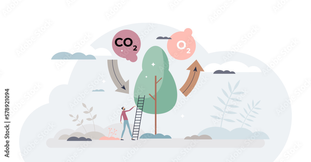 Photosynthesis process simple visualization with plant tiny person ...