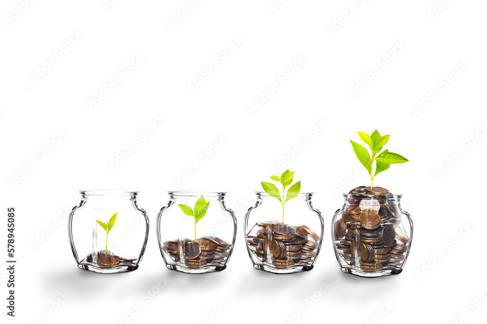 Growing Plants in money in the glass. on transparent background with ...