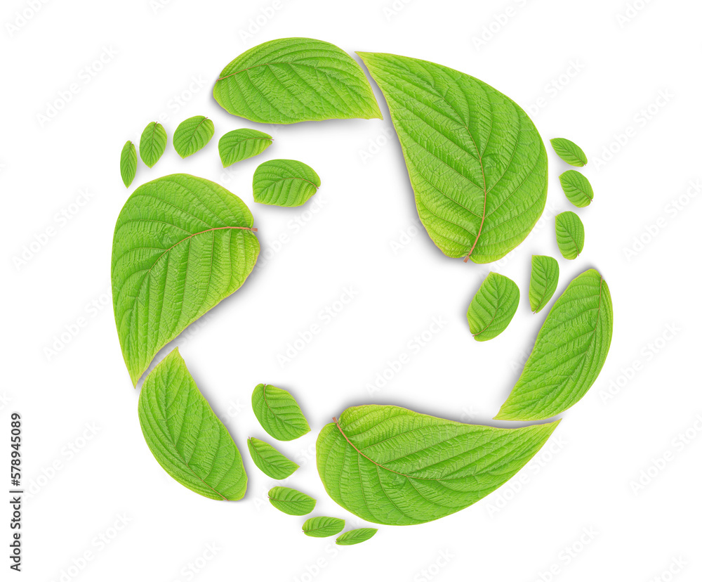 green leaf growing footprints, co2 symbol isolated on White Background ...