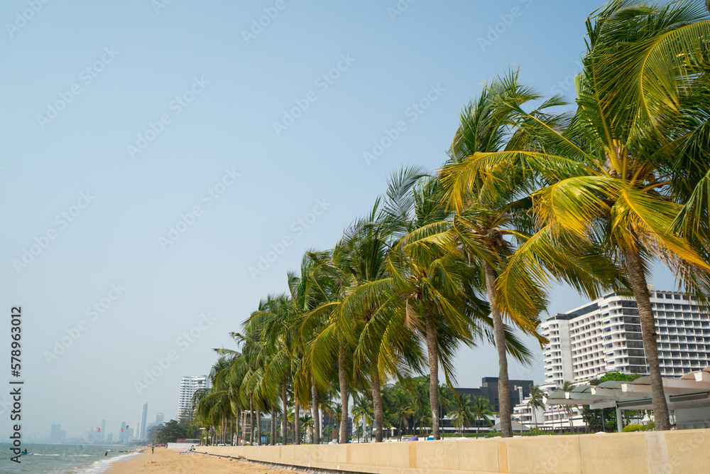 Row of coconut trees with hotel on the beach with tourist to walk on ...