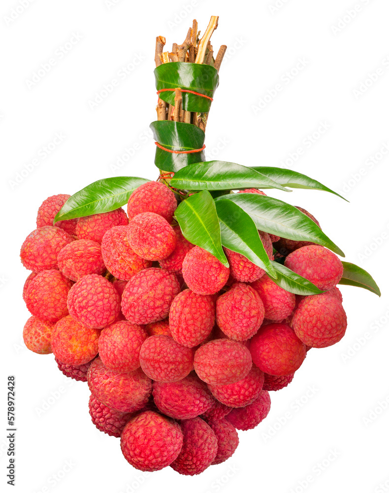 Bunch of lychees with leaves isolated on white background, Sweet ...