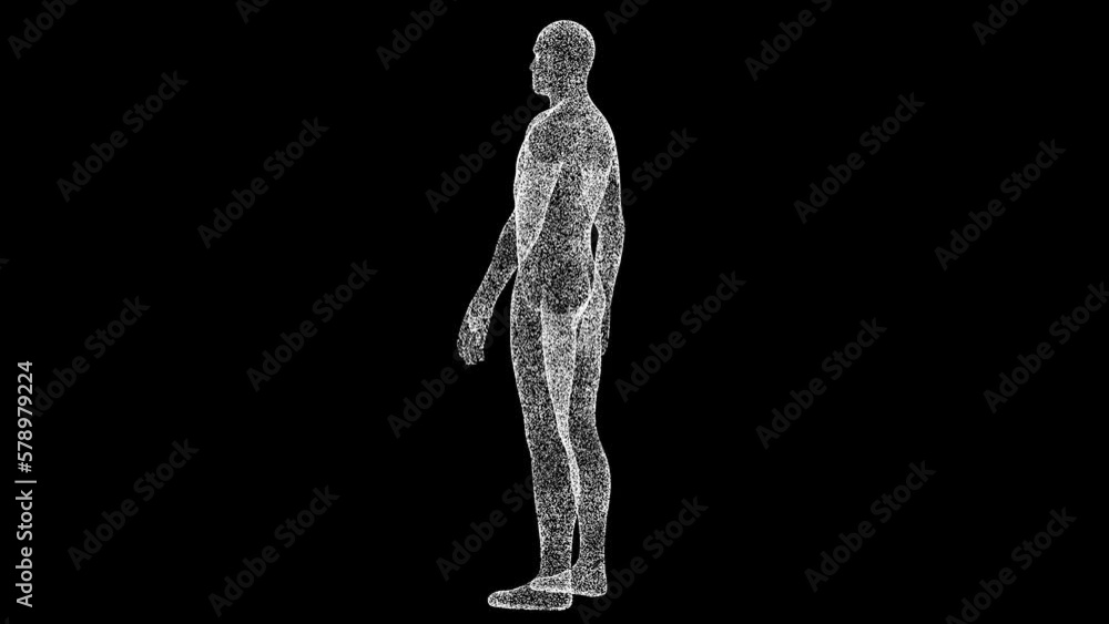 3D human body man rotates on black bg. Object dissolved white ...