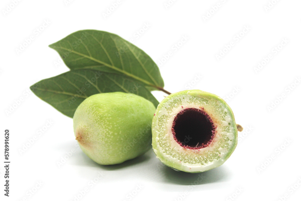 Kakadu plum fruit isolated on white background Stock Photo | Adobe Stock