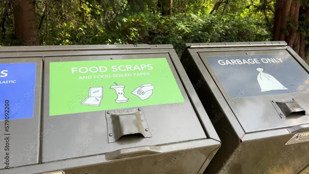 Wet trash paper and Garbage for recycling Garbage sorting in Canada you ...