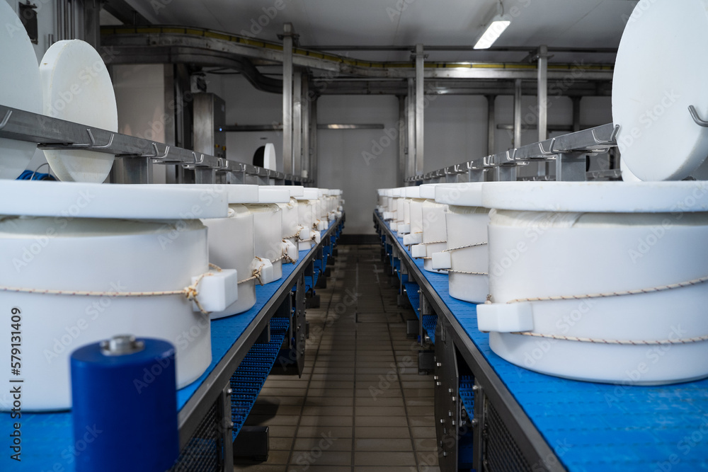 Processing of cheese in the factory. Processing phases of the cheese ...