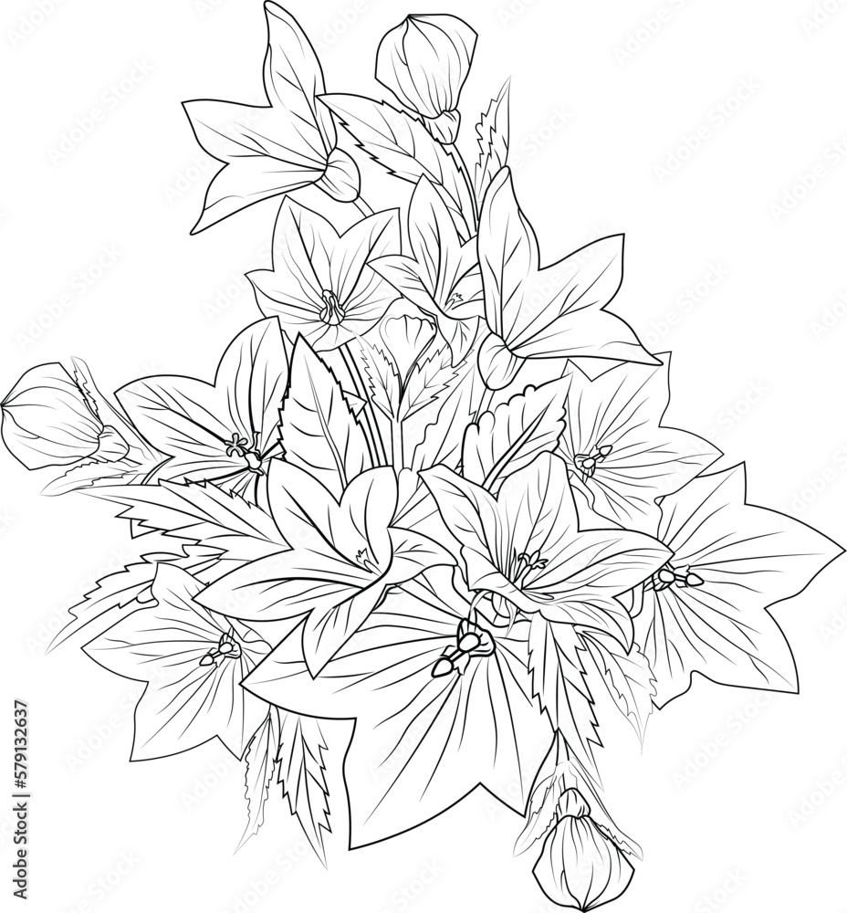 Sketch bell flower drawing, Illustration bellflower drawing, Bouquet of ...