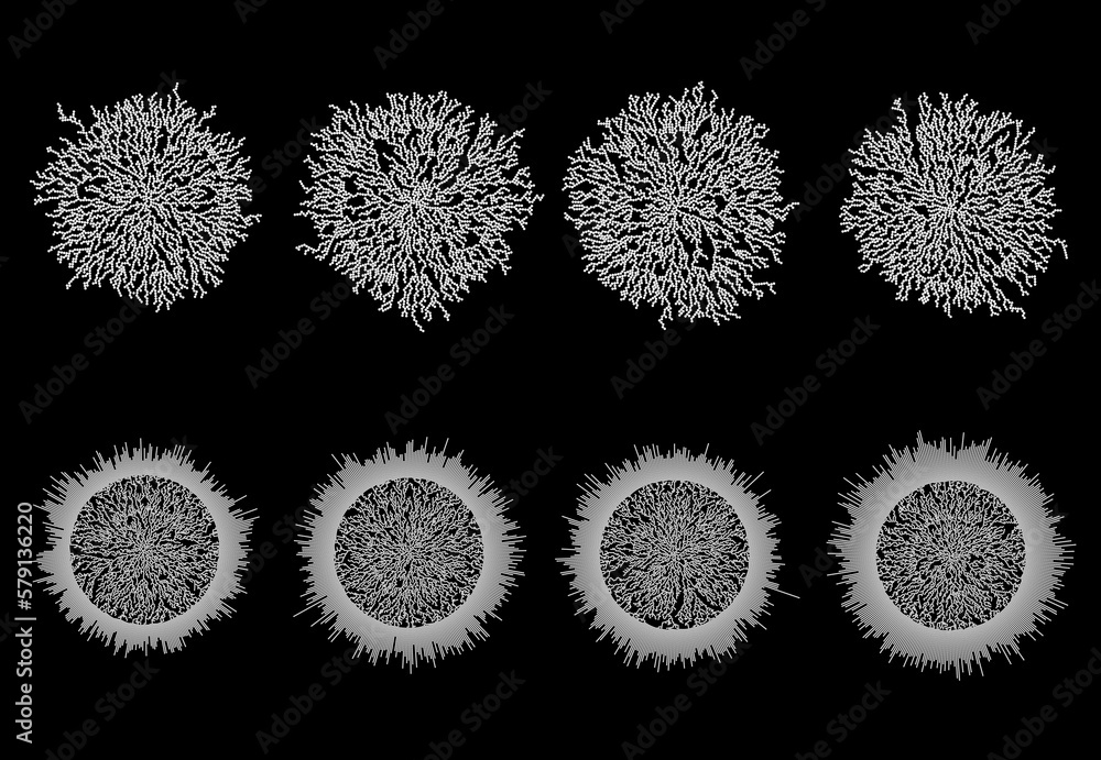 Cellular Automaton Diffusion-Limited Aggregation Structures Set ...